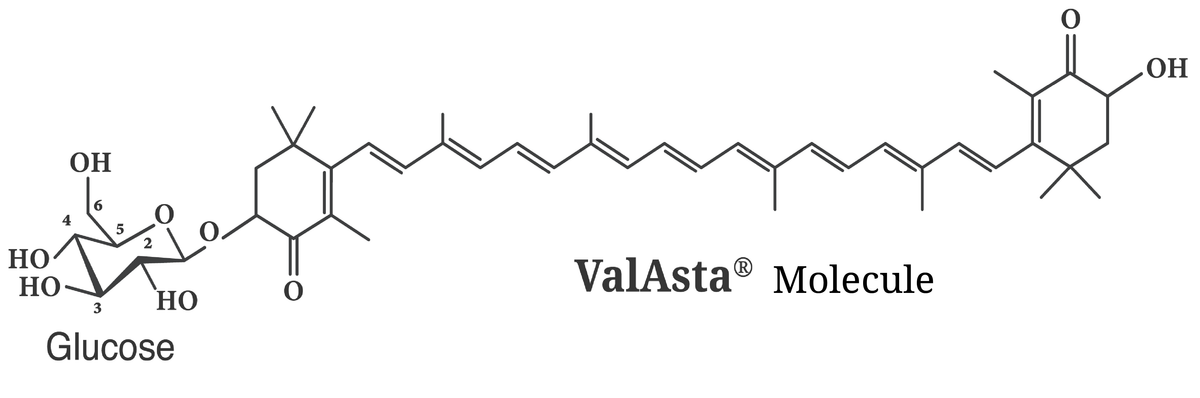 Antioxidant Activity of Astaxanthin – ValAsta Jewish